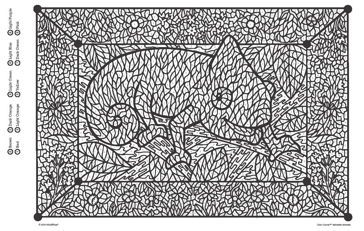 mindware color counts