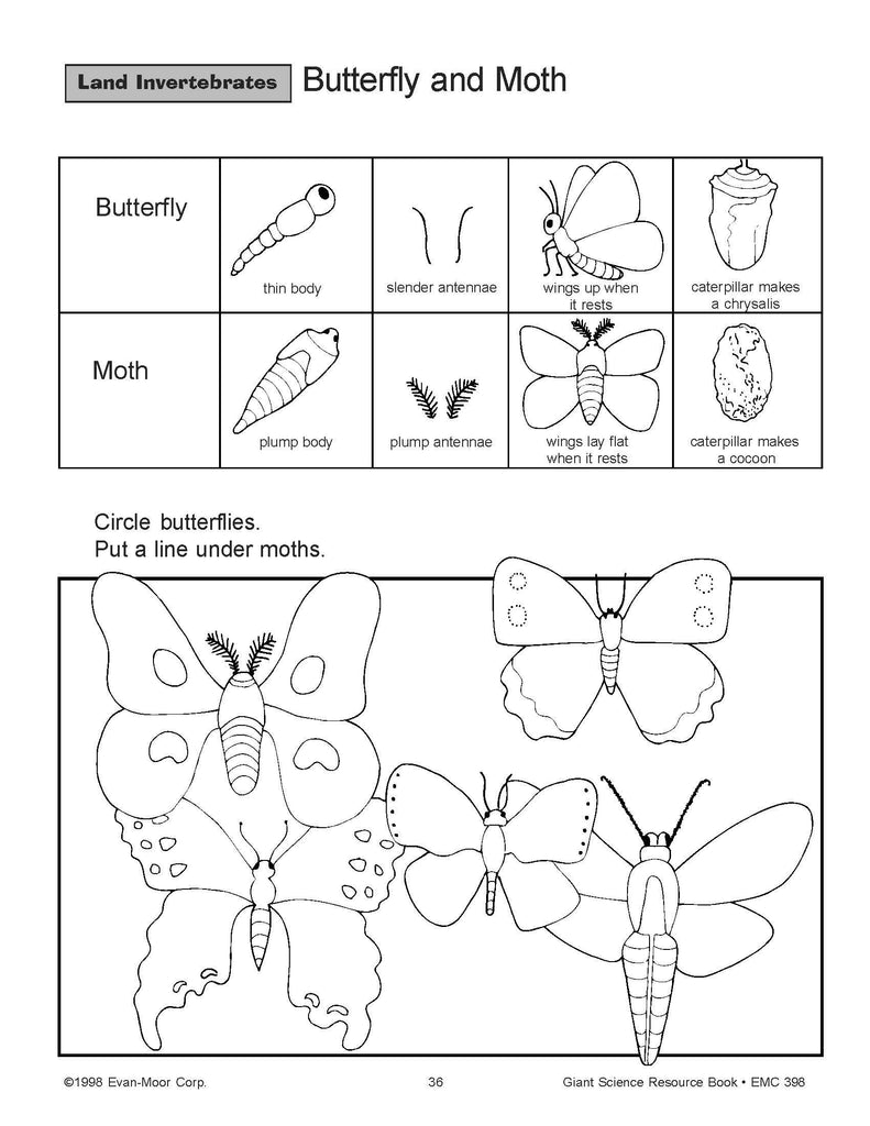 Giant Science Resource Book, Grades 1-6 – Miller Pads & Paper