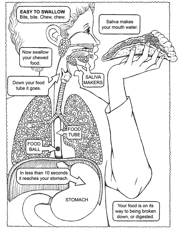 My First Human Body Book – Miller Pads & Paper