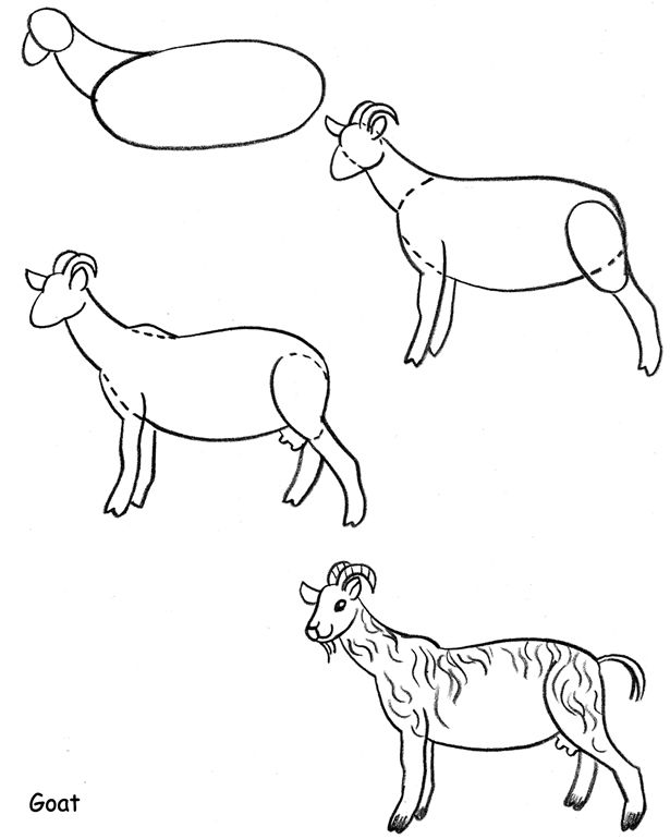 How to Draw Farm Animals – Miller Pads & Paper