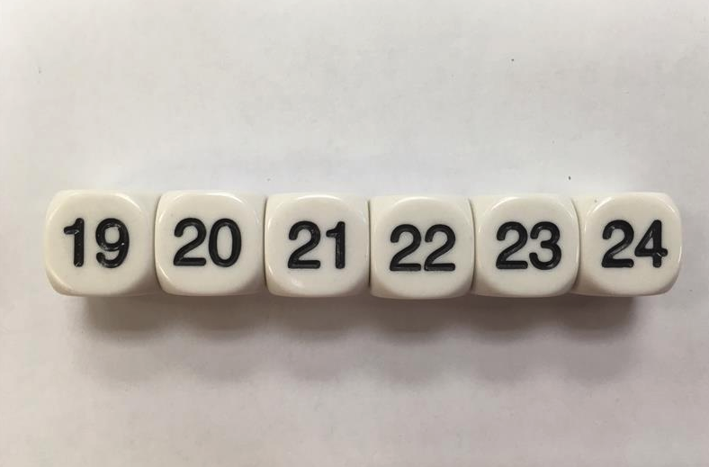 Math Numbers 19-24 Die – Miller Pads & Paper