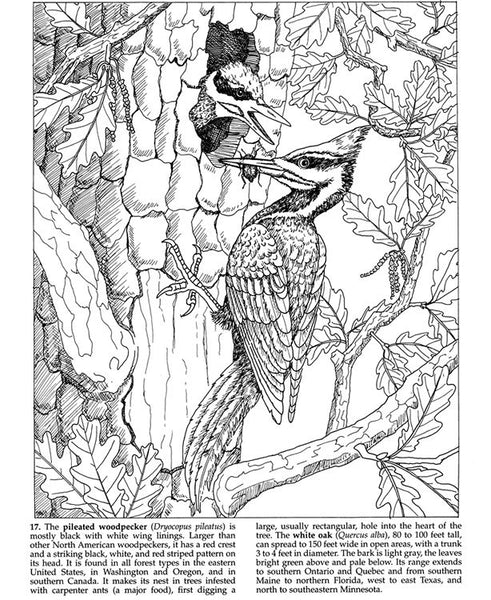 quebec coloring pages